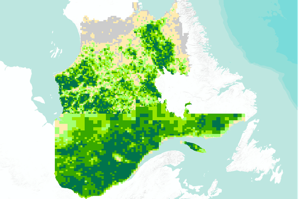 Canada's Forest Inventory (CanFI) 2001 for the boreal eco-region ...