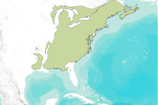 American beech (Fagus grandifolia) extent, North America | Data Basin