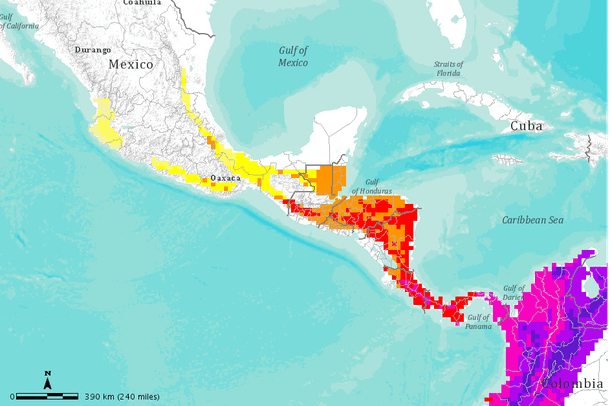 Swainson's Thrush Wing Chord Models | Data Basin
