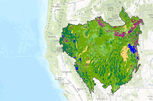 Vegetation Types in the Great Basin Landscape Conservation Cooperative ...