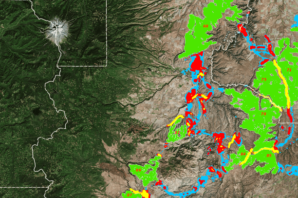 Barrier mapper output and Habitat Concentration Areas (HCAs) for white ...