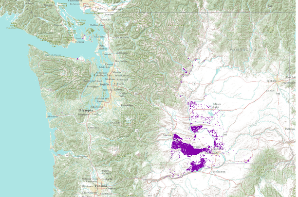Wine Grapes in Washington, USDA-NASS, 2010 Cropland Data Layer | Data Basin