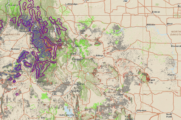 50% probability of change for Abies grandis Grand Fir predicted ...