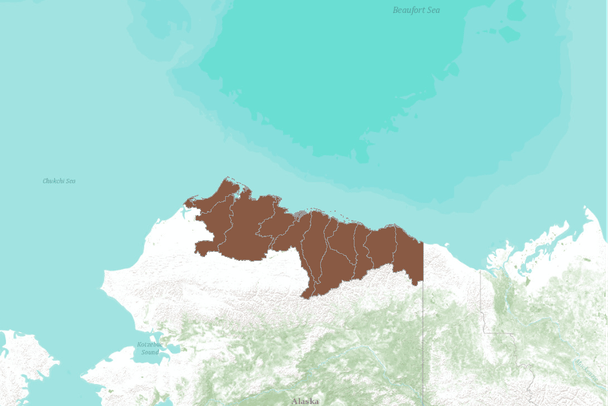 Arctic cisco (Coregonus autumnalis) distribution and status by HUC8 ...