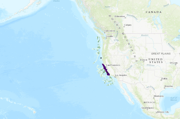 Environmental Considerations - Leatherback Sea Turtles, CA | Data Basin