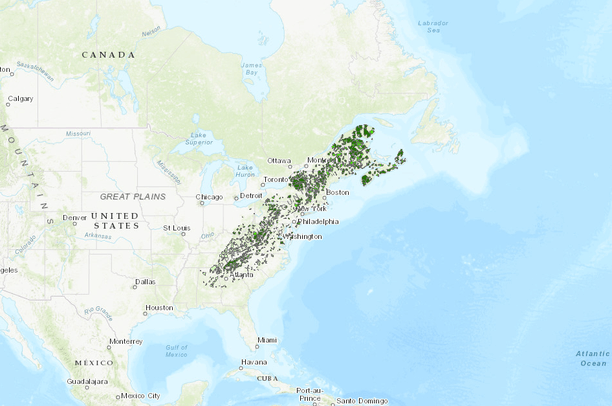 NEUSA TNC Important Forest Blocks | Data Basin