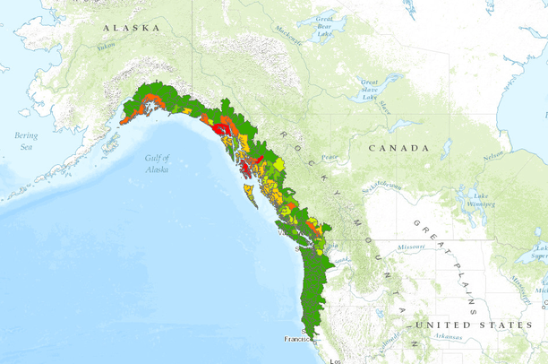 North Pacific LCC Prioritization Input: Wild Pink Salmon Abundance ...