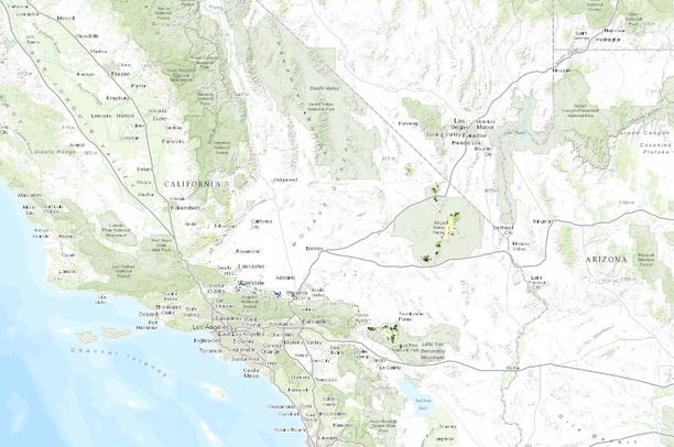 Great Basin Pinyon - Juniper Woodland - Habitat Intactness, DRECP ...