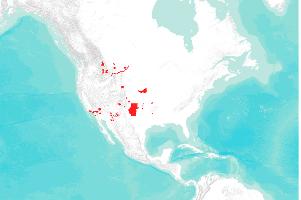 USFWS Riparian habitats | Data Basin