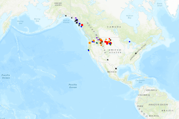 Silver-haired Bats 2015 | BatAMP