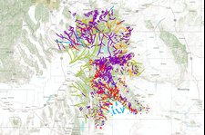 Elk migration | Data Basin