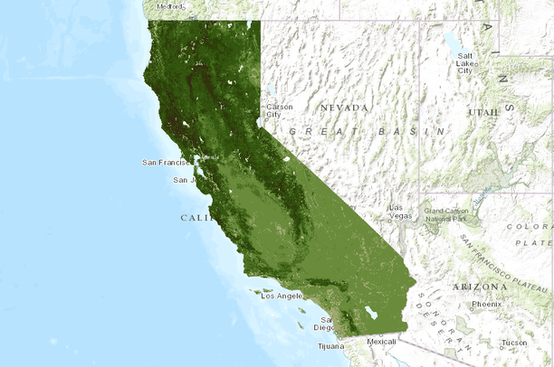 Net Biome Production (g C m-2 y-1) under the A2 Emission Scenario, 800 ...