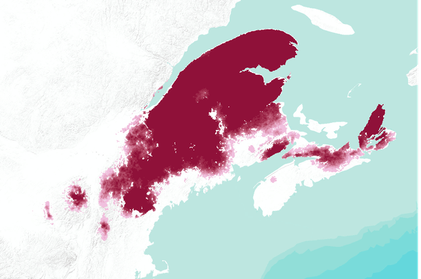 Predicted Marten Habitat in the Northern Appalachians: Increased ...