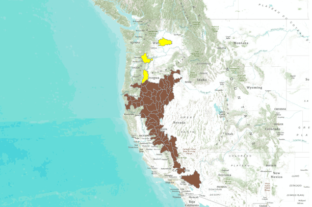 Tui chub (Gila bicolor) distribution and status by HUC8 | Data Basin