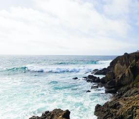 Galleries | Data Basin