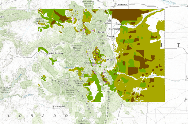 All Colorado Pronghorn DataSets | Data Basin