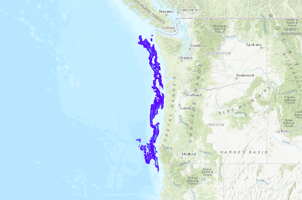 NOAA Observed Fishing Effort in the U.S. Pacific Coast Groundfish ...