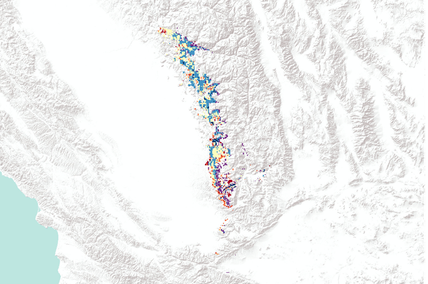 Ensemble forecast of climate suitability for California sycamore ...