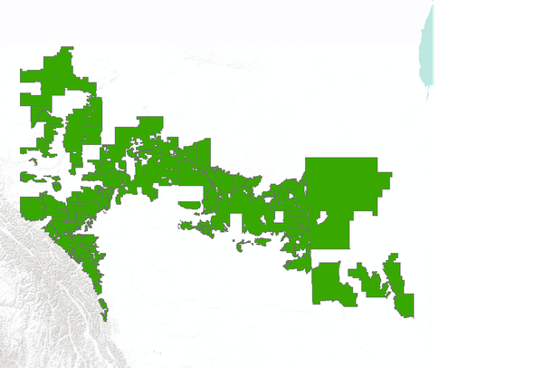 Provincial forest tenures / forest management areas of Alberta ...