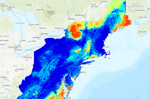 Northeast Stopover Sites for Migratory Landbirds | Galleries | Data Basin