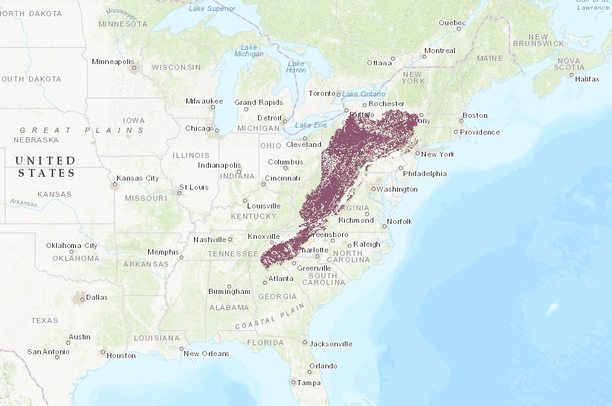 NatureScape: Brook Trout Distribution | Northeast CPA