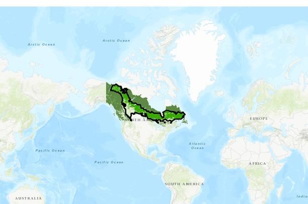 Canada's Intact Forest Landscapes (Update 2010) | Data Basin