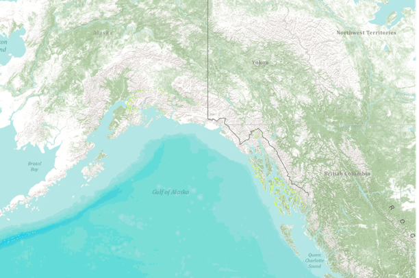 Alaska Forest Damage Survey for 2005 | Data Basin