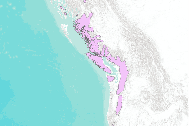 Pacific silver fir (Abies amabilis) extent, North America | Data Basin