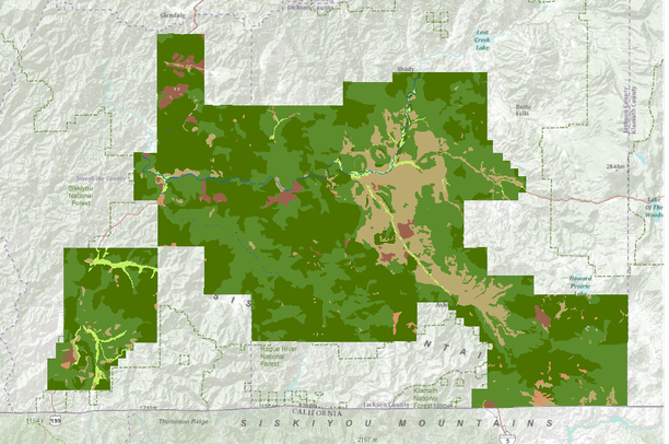 GLO historical vegetation of central Rogue, lower Applegate, and upper ...