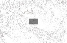 Projected majority vegetation of Arizona and New Mexico | Data Basin