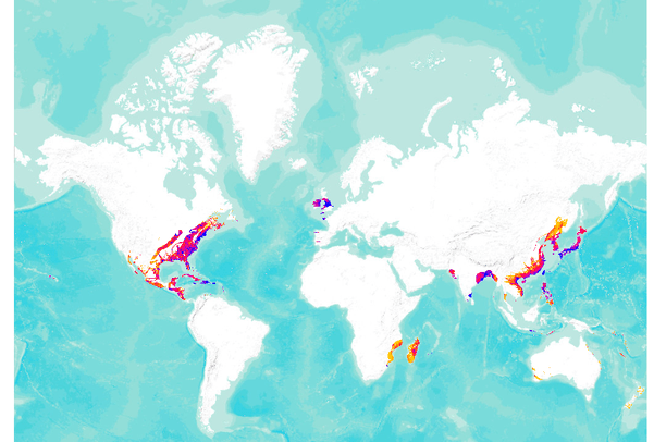 Global Cyclone Total Economic Loss Risk Deciles | Data Basin