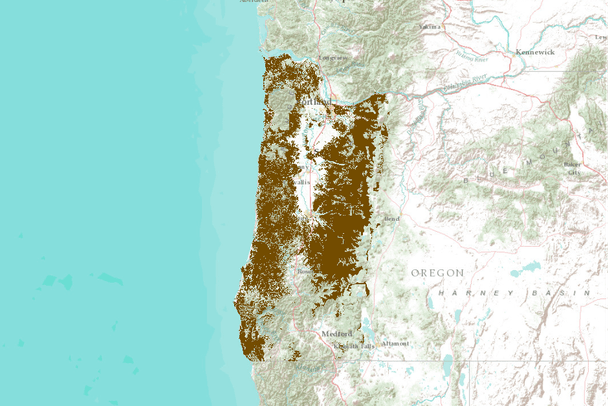 Soils with high organic content in the Oregon portion of the North ...
