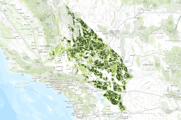Golden eagle - Habitat Intactness, DRECP | Data Basin
