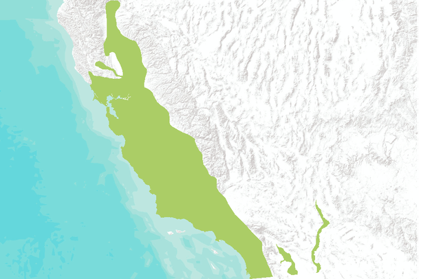 Threadfin shad (Dorosoma petenense) distribution in California as of ...