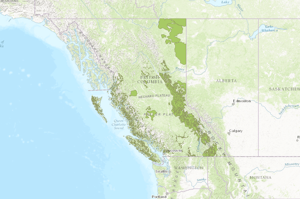BC Species at Risk Critical Habitat (General) | Data Basin