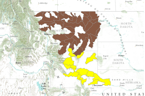 Emerald shiner (Notropis atherinoides) distribution and status by HUC8 ...