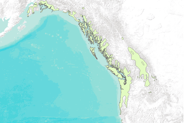 Western hemlock (Tsuga heterophylla) extent, North America | Data Basin