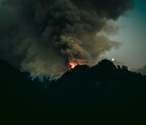 Fire Ecology & Biodiversity | Galleries | Data Basin
