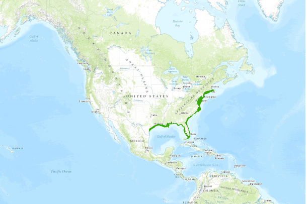 Diamond-backed Terrapin Range | Data Basin