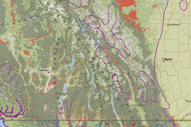 >70% probability of change in range of lodgepole pine since 2000 | Data ...