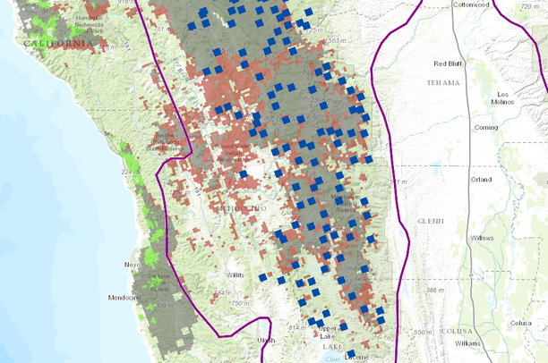 >70% chance between 2000 through 2009 that Ponderosa pine will shift ...