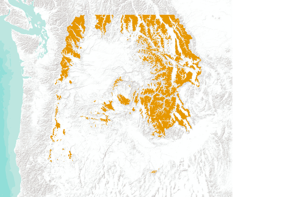 Bull trout (USA) lower elevation limit assuming a 250-meter rise from ...