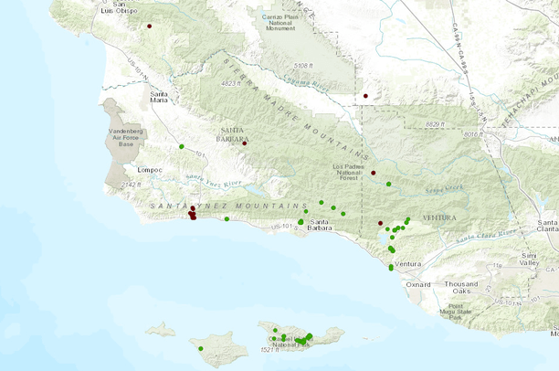 Centaurea solstitialis occurrences | SBC Atlas