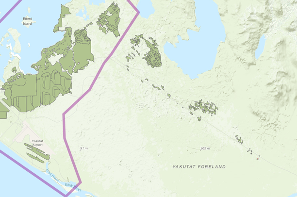Young Growth Forest in Yukatat, Tongass National Forest | Data Basin