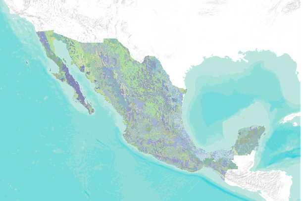 Los Tipos de vegetación en México | Data Basin