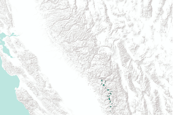 Giant sequoia (Sequoiadendron giganteum) extent, North America | Data Basin