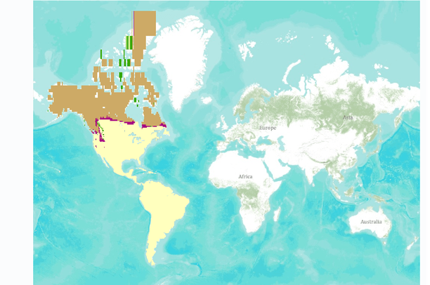 Modeling Climate Induced Range Shifts for the Wolverine (Gulo gulo ...