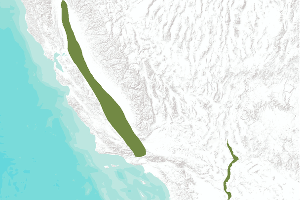 Warmouth (Lepomis gulosus) distribution in California as of 2002 | Data ...