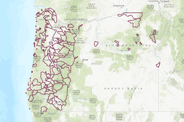 Surface water drinking water source areas in Oregon, 2019 | Data Basin