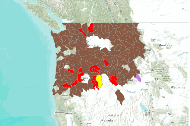 Bull trout (Salvelinus confluentus) distribution and status by HUC8 ...